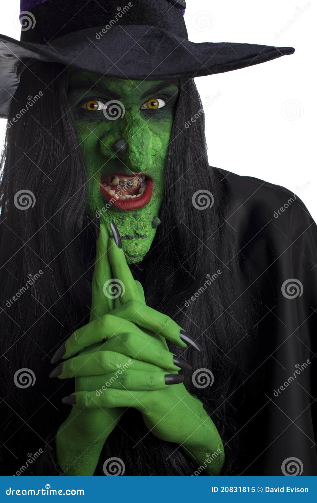 Halloween Witches Faces