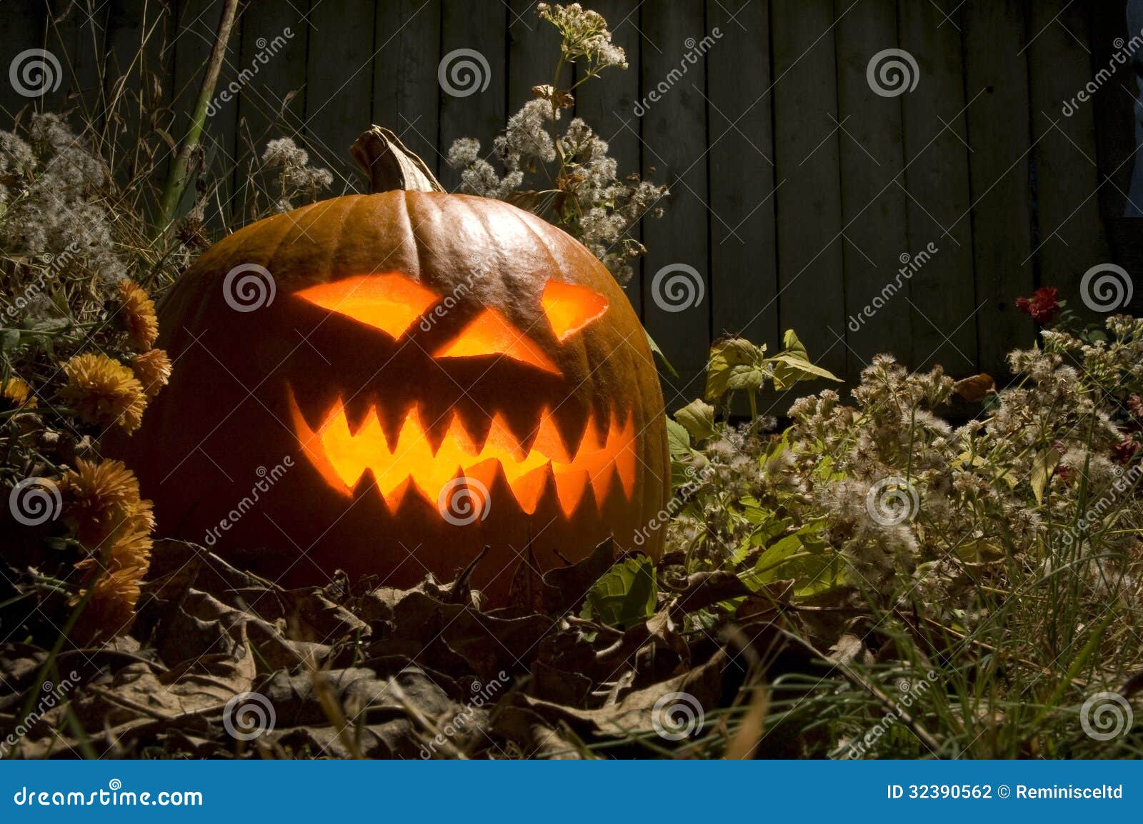 Scary Halloween Jack O Lantern Stock Photo - Image of lantern, dark ...