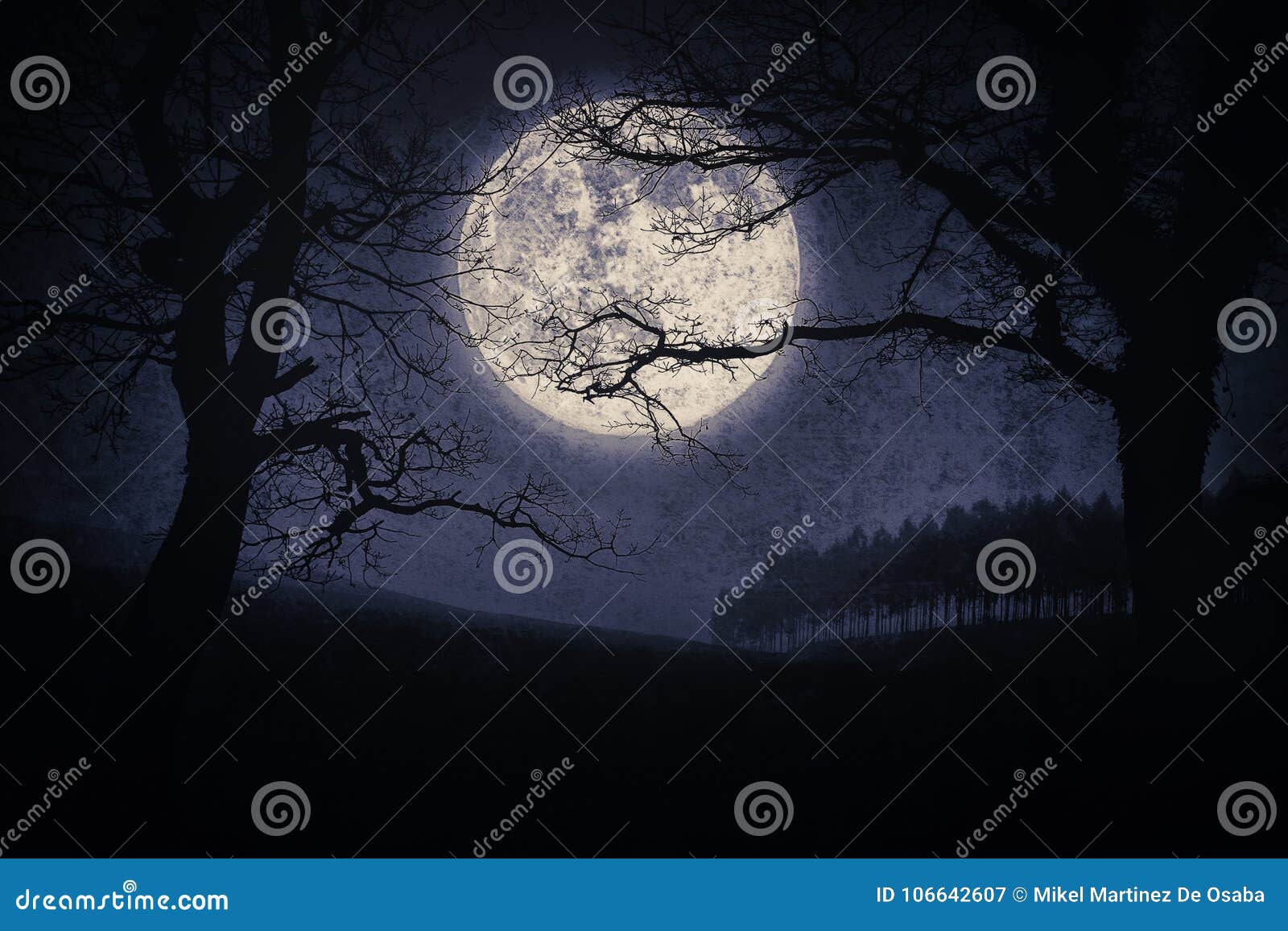 Scary Trees At Night