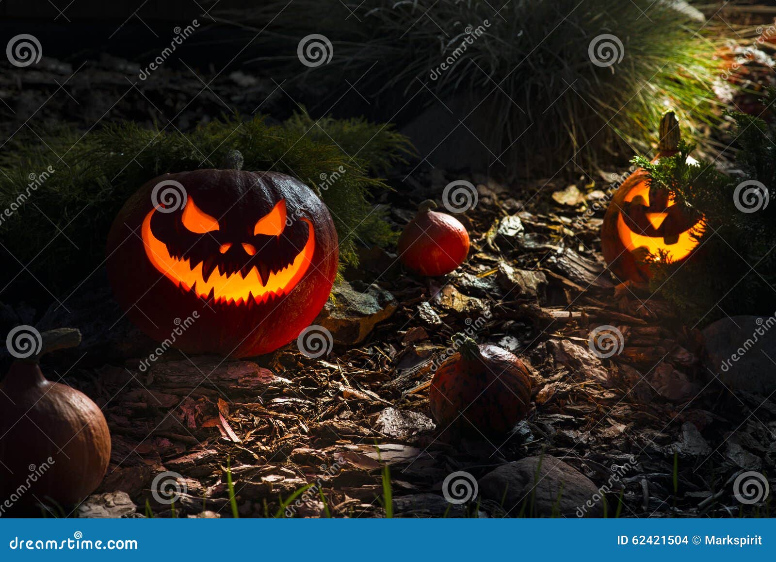 Scary Halloween Pumpkin in a Night Stock Photo - Image of dark, light ...