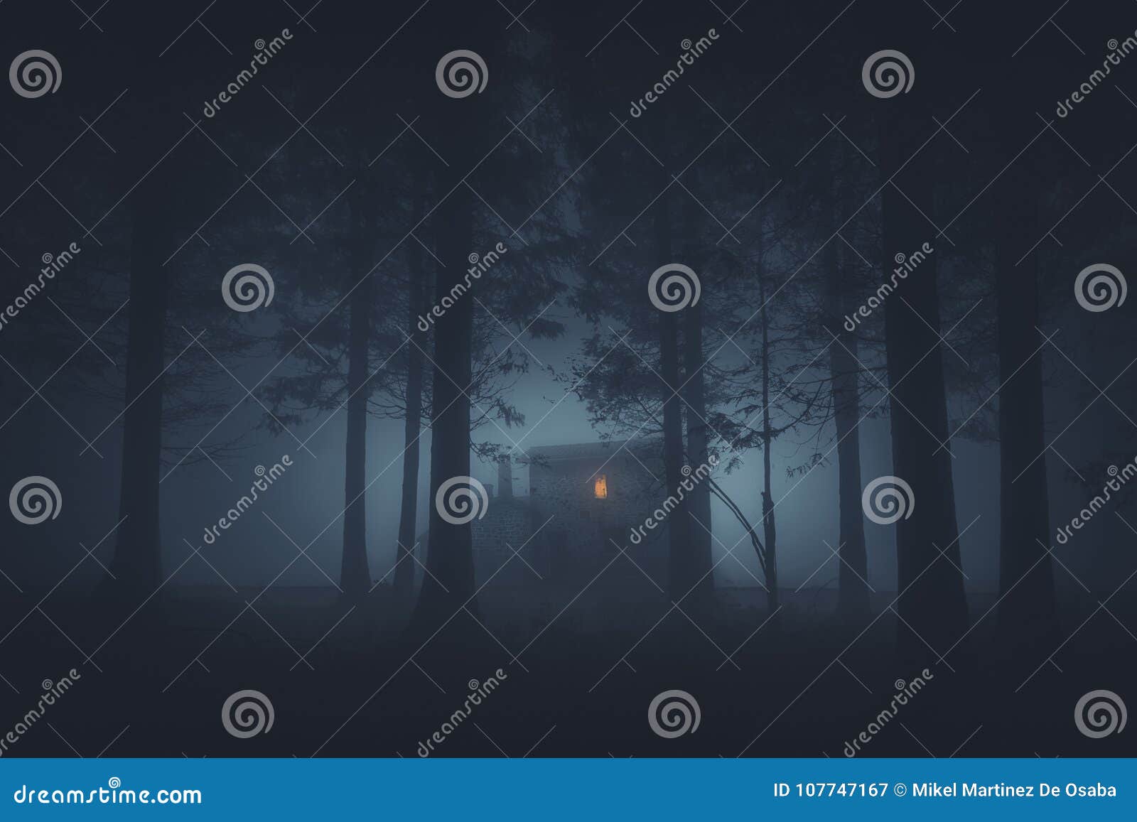 Scary House in Mysterious Horror Forest at Night Stock Image - Image of ...