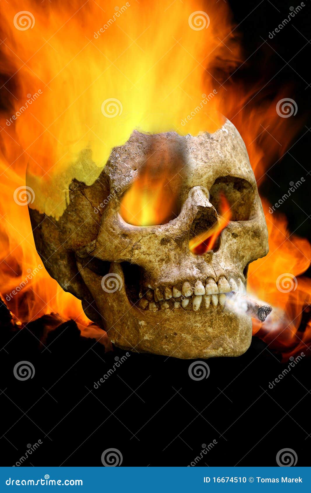 Scary Human Skull Stock Photo | CartoonDealer.com #16674510