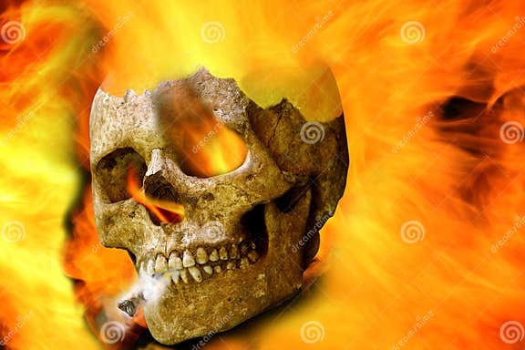 Scary Human Skull stock photo. Image of health, background - 16674768