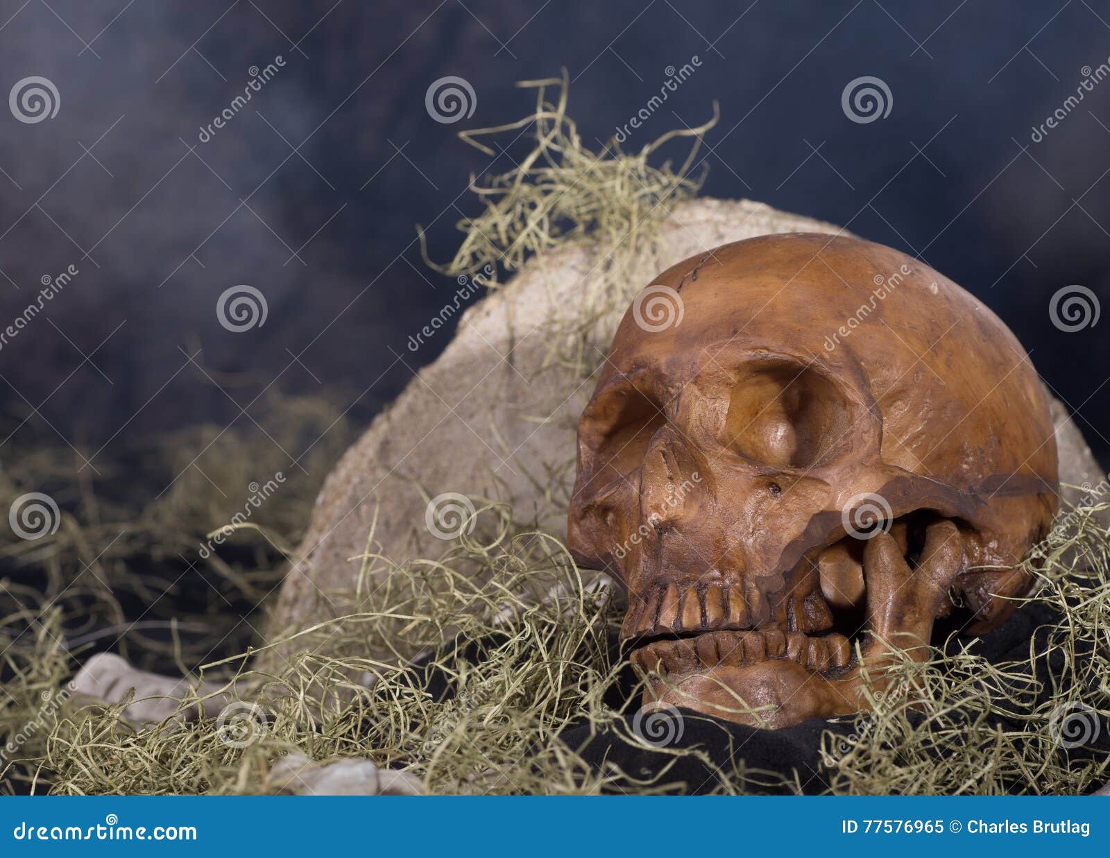 Scary Human Skull On Dark Background Stock Photography | CartoonDealer ...