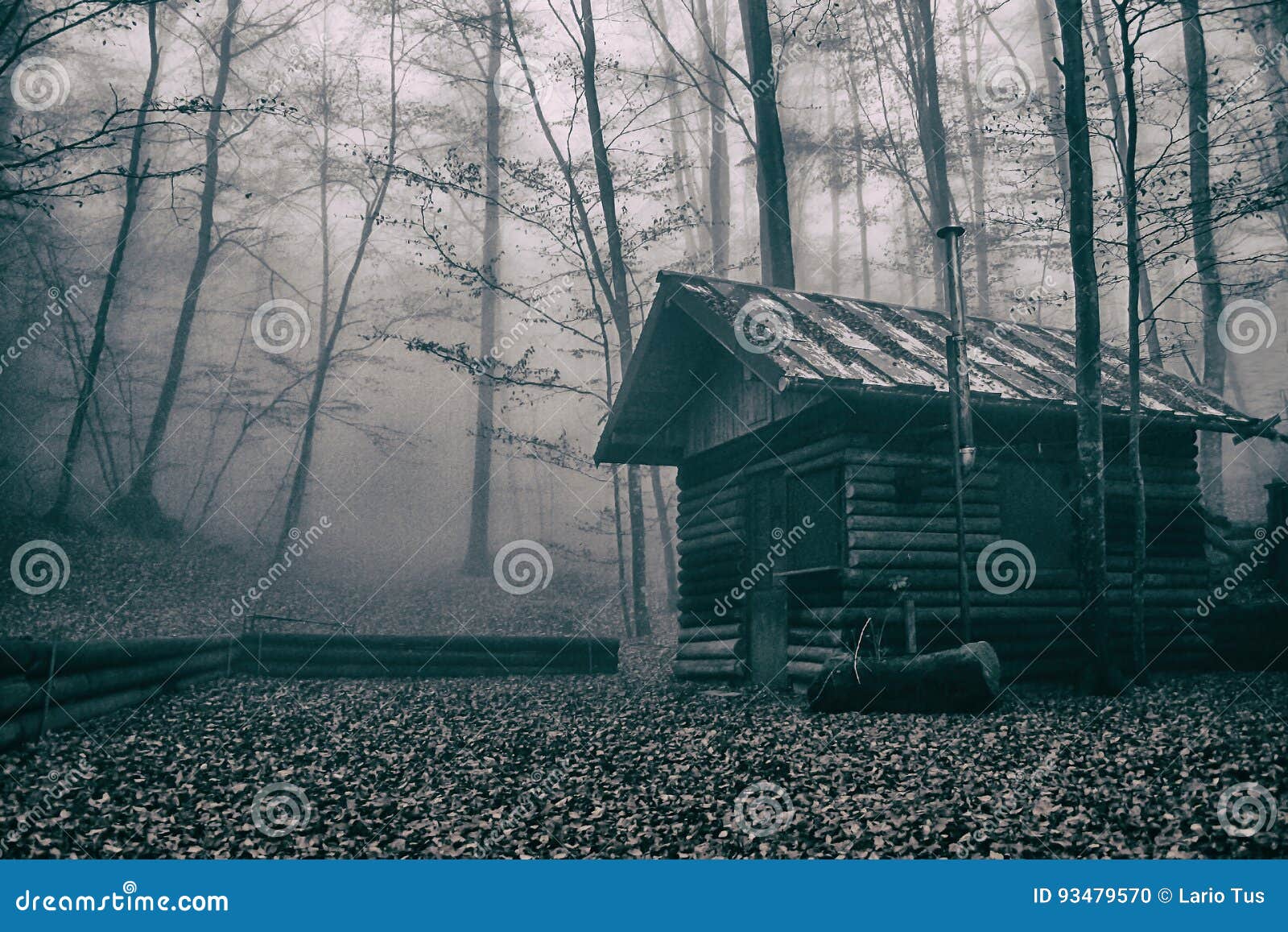Scary Hut in the Misty Forest Stock Photo - Image of house, thriller ...