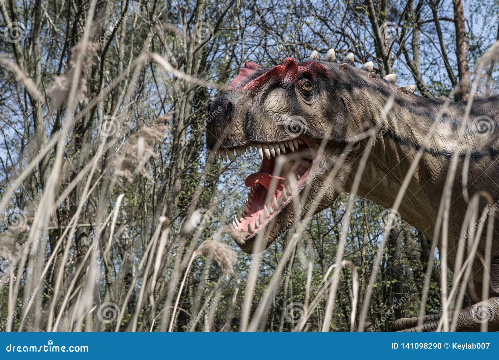 Scary Isolated Dino Dinosaurs T Rex Dino Stock Photo - Image of ...