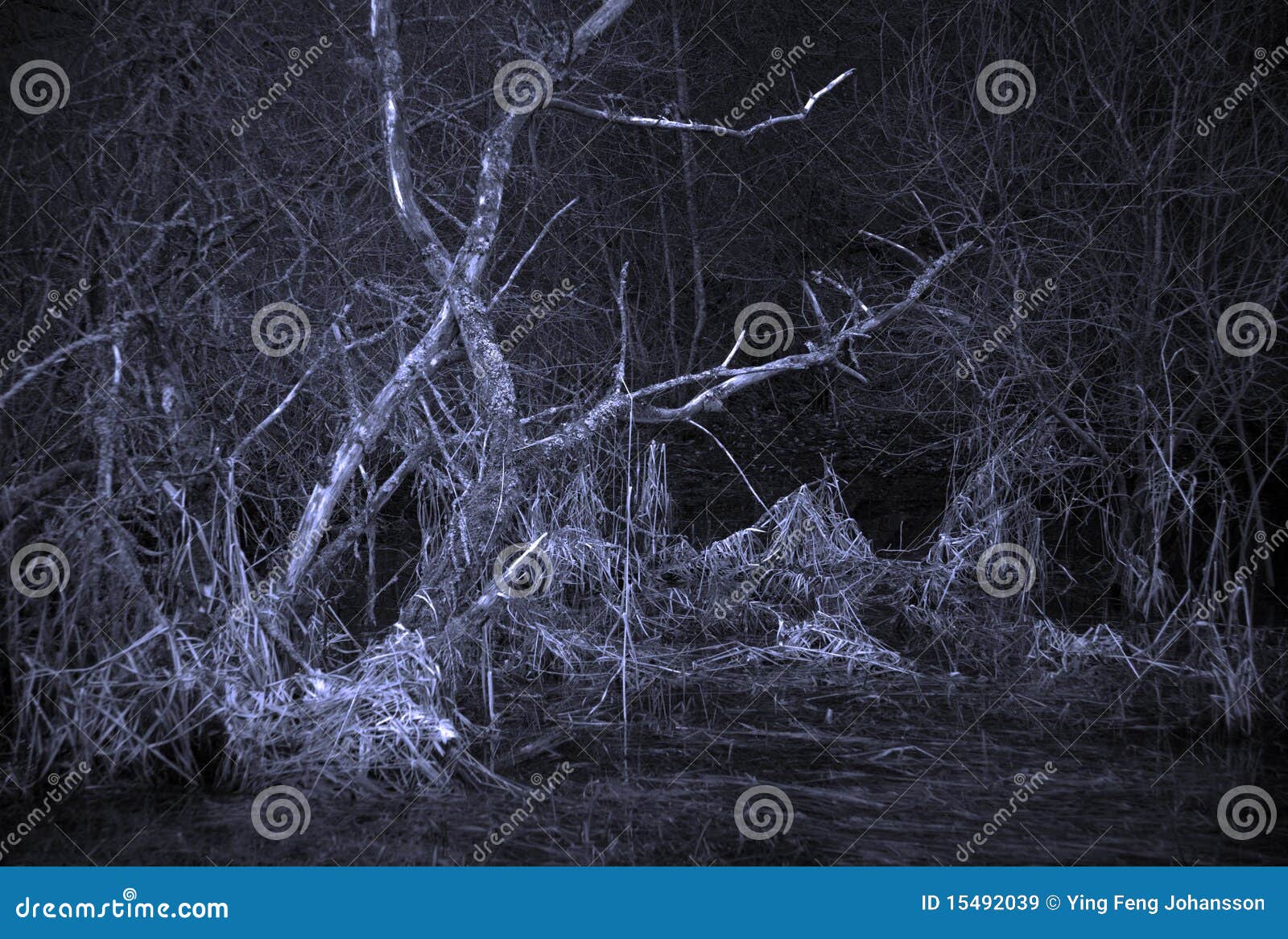 Scary Landscape with Dead Tree Stock Image - Image of woodland, horror ...