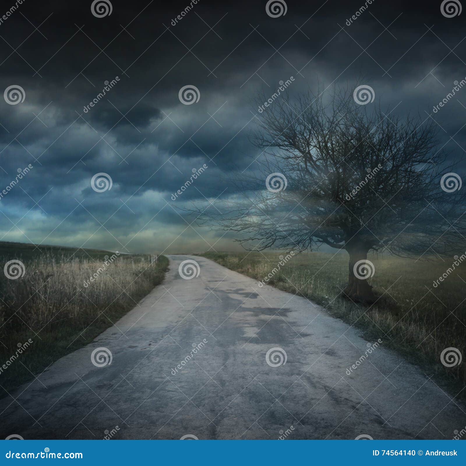 A scary landscape stock photo. Image of mysterious, mystery - 74564140