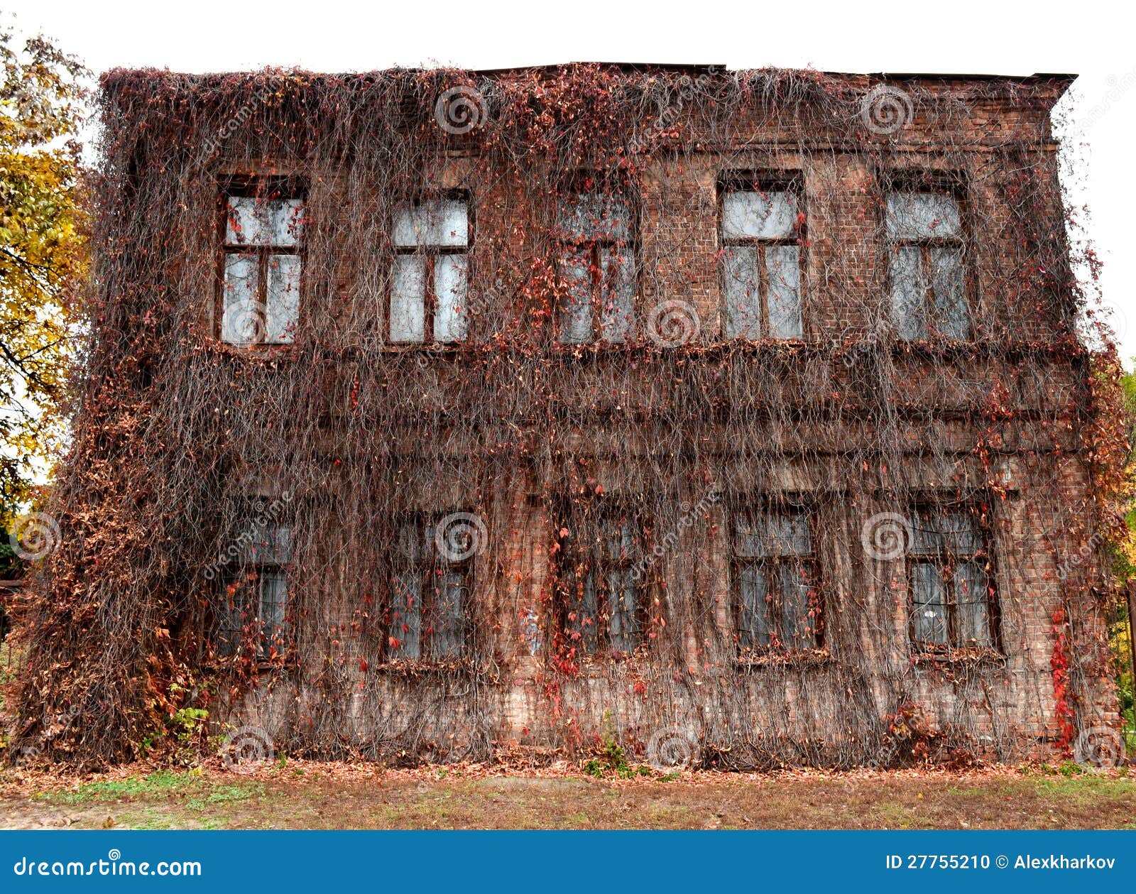 Scary old building stock photo. Image of arch, vintage - 27755210