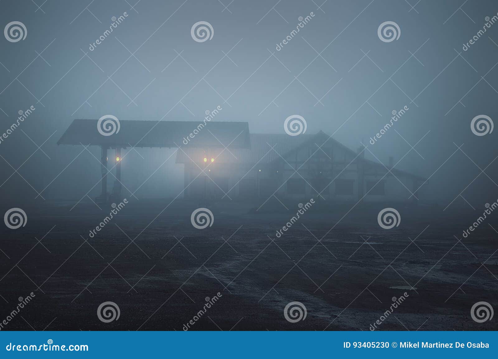 Night Scary Scene. Full Moon Above The Pond With Silhouette Of A Tree ...