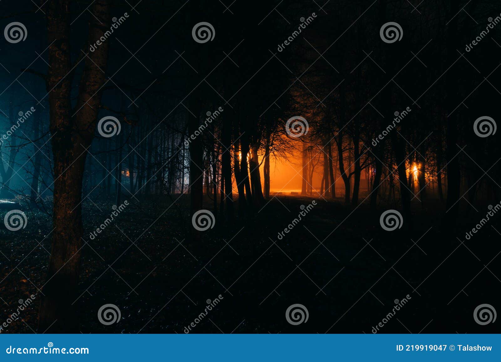 Scary Park in the Autumn Night Stock Image - Image of night, urban ...