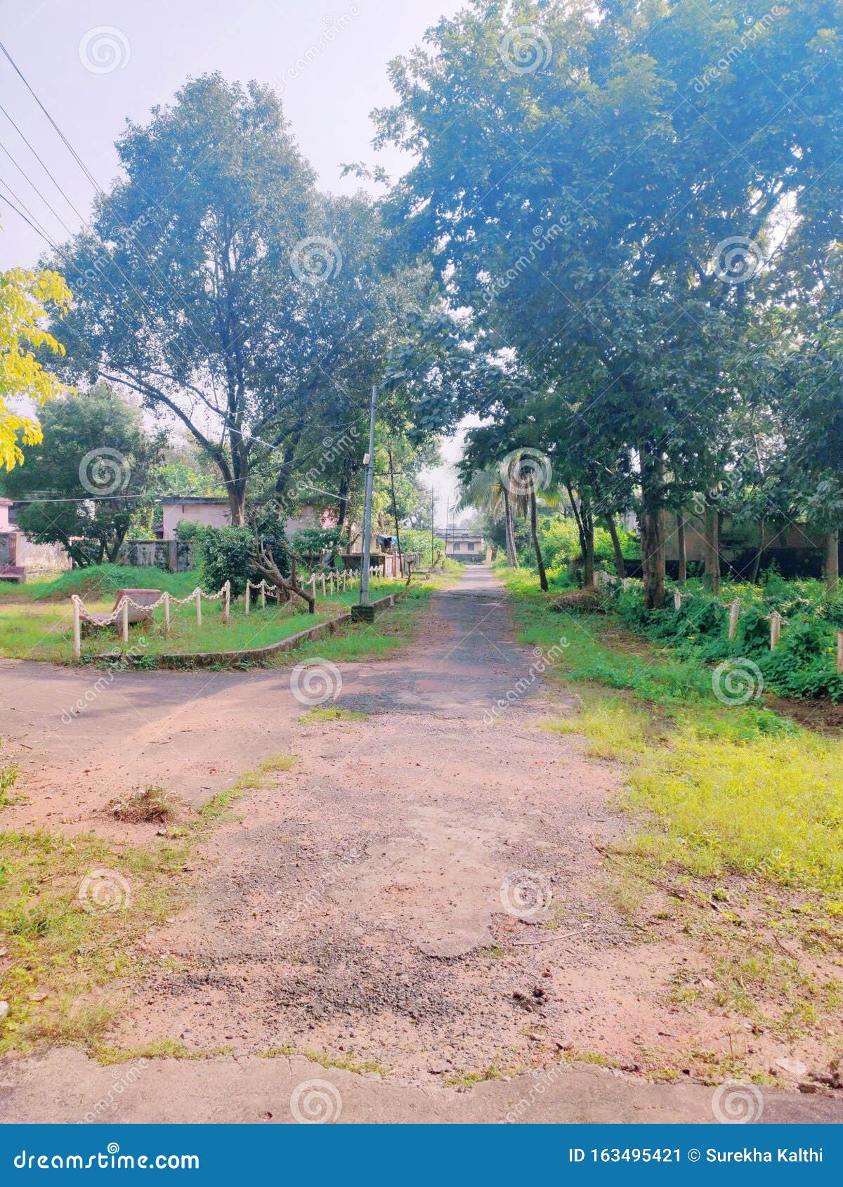 Scary Path in between the Trees Stock Image - Image of park, scary ...