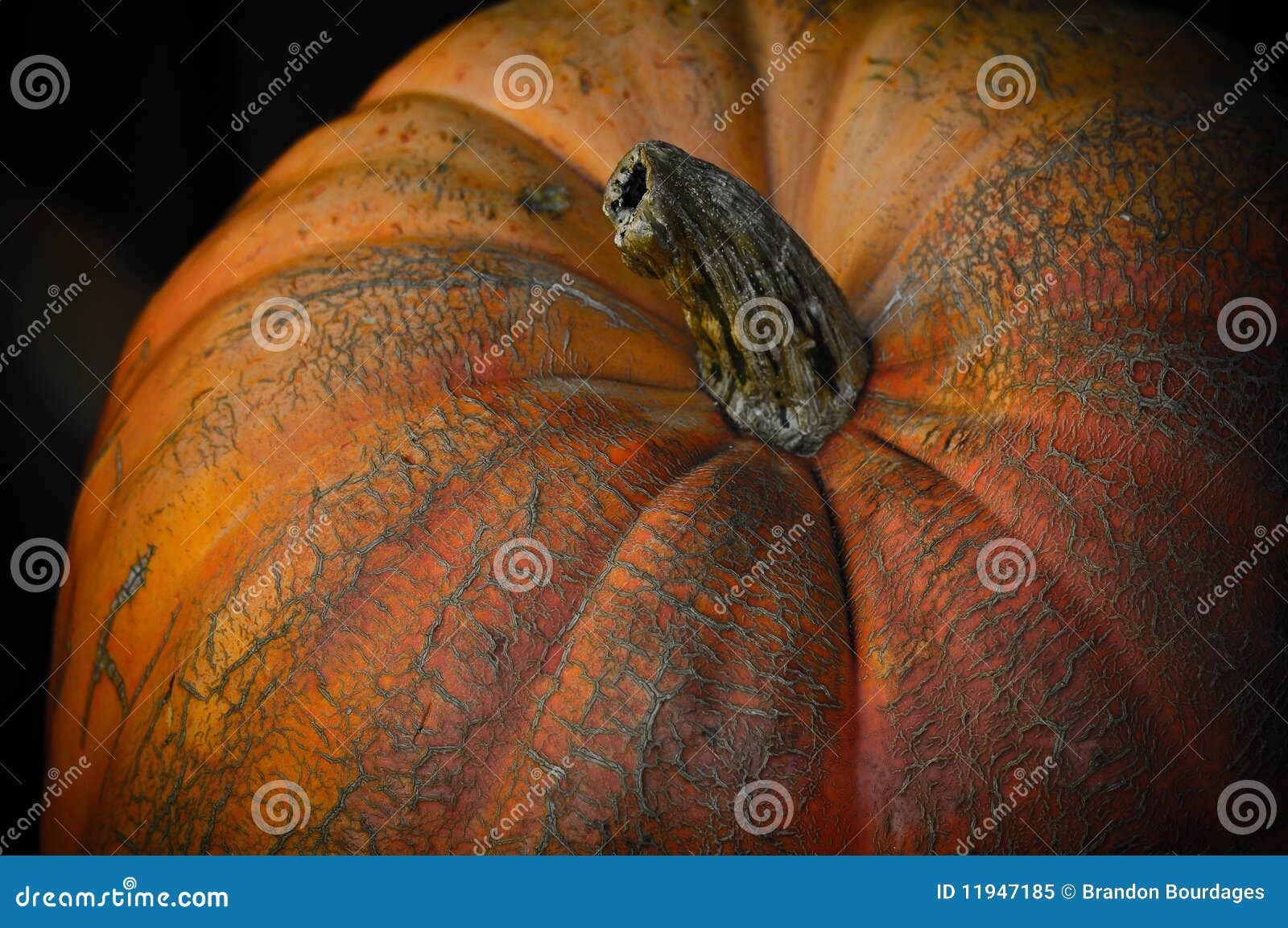 Scary Pumpkin stock image. Image of holiday, food, treat - 11947185