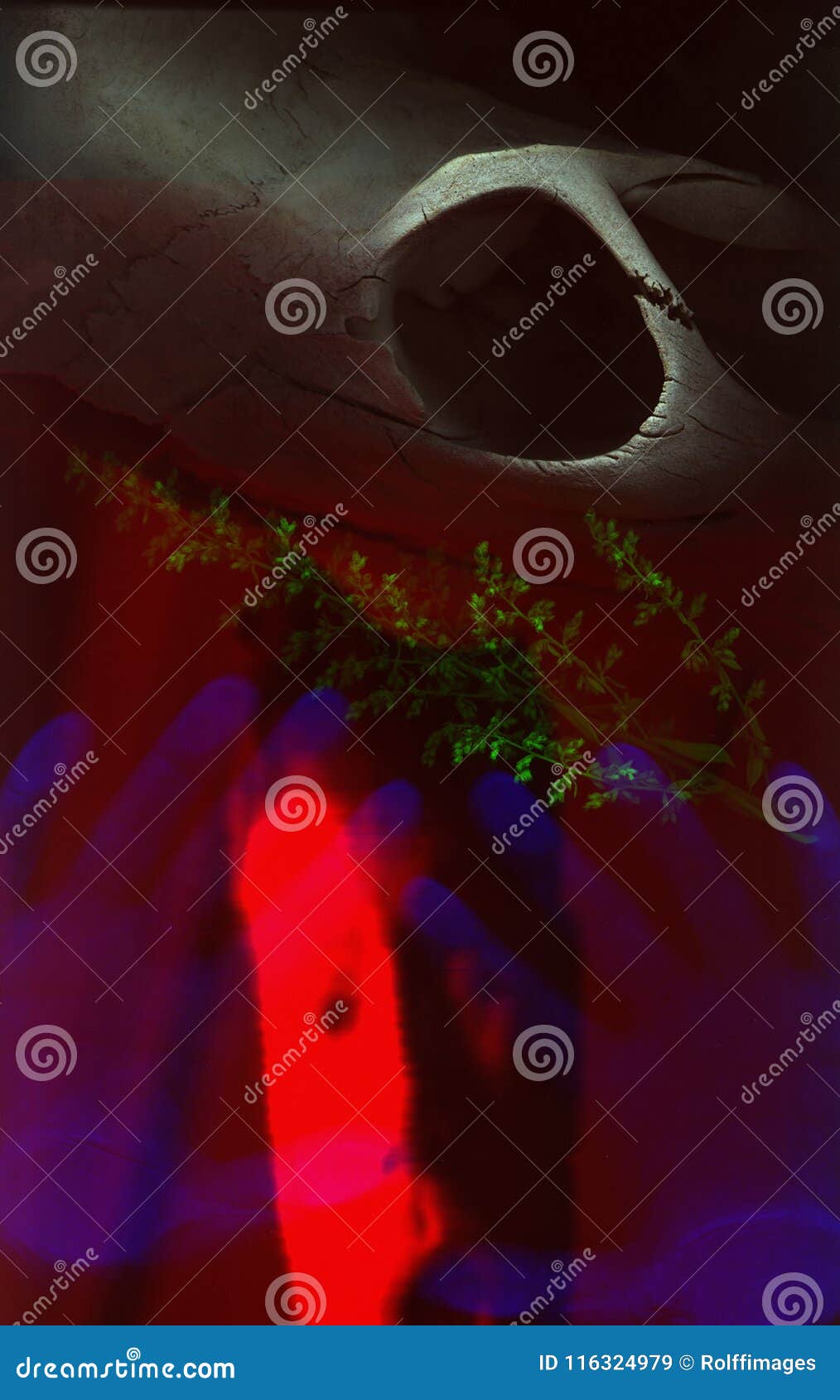 Scary X-ray stock illustration. Illustration of damage - 116324979