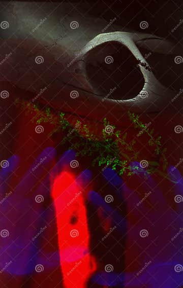 Scary X-ray stock illustration. Illustration of damage - 116324979