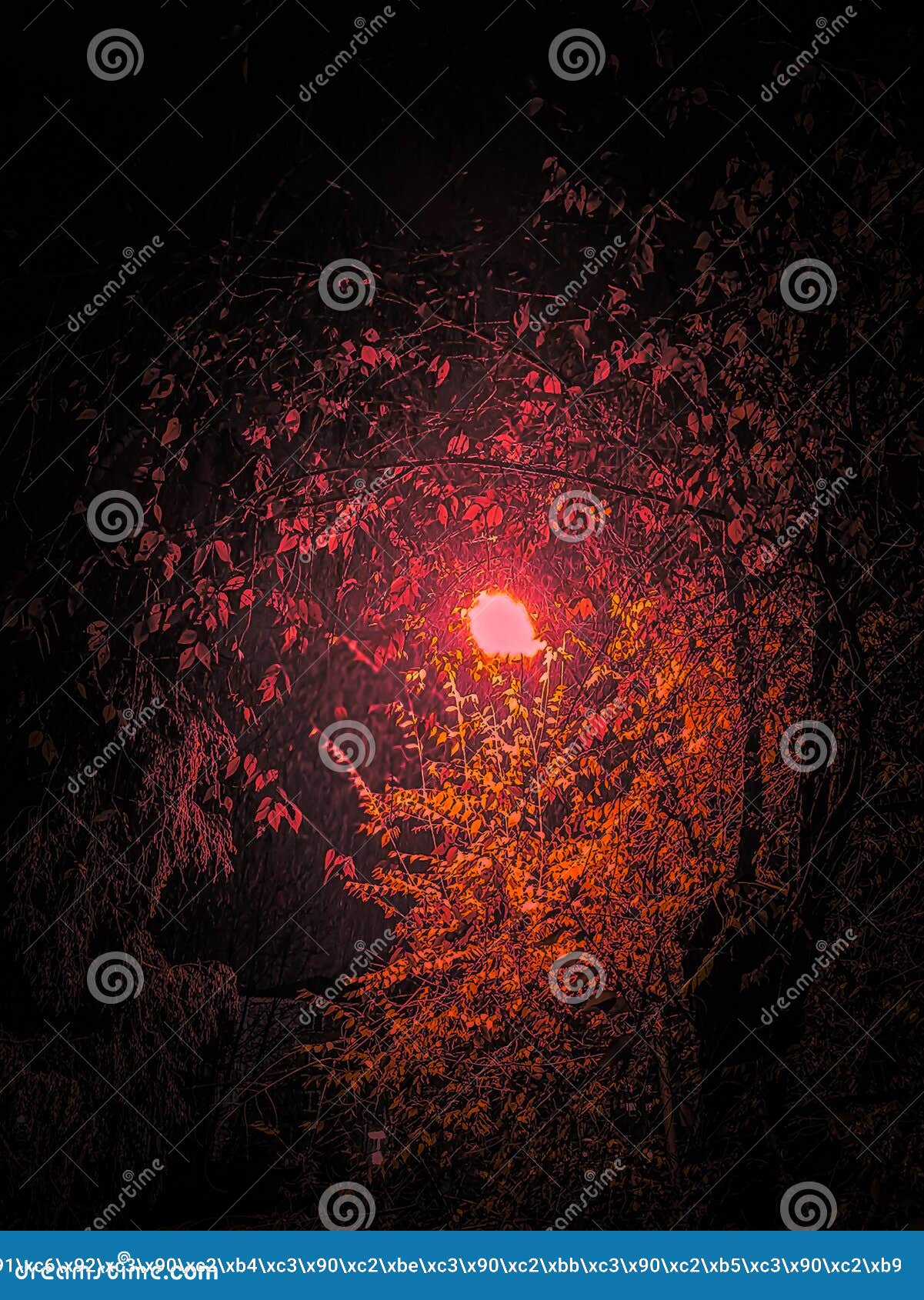 Scary red light stock image. Image of circle, reflection - 238544723