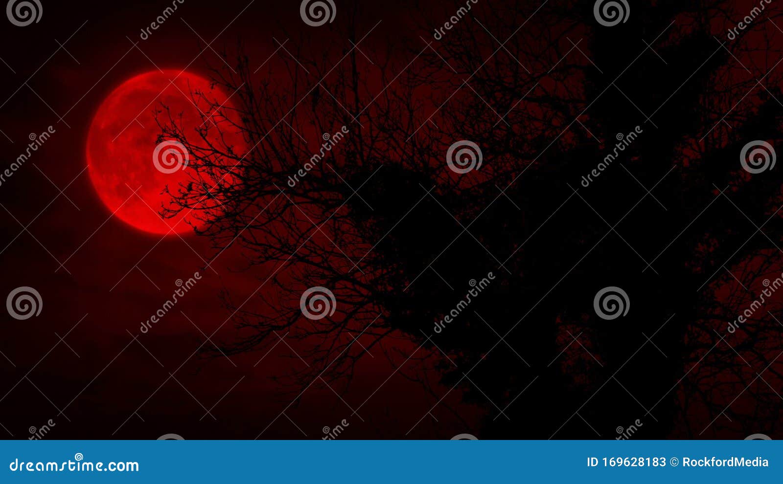Scary Red Moon and Old Overgrown Tree Stock Video - Video of landscape ...