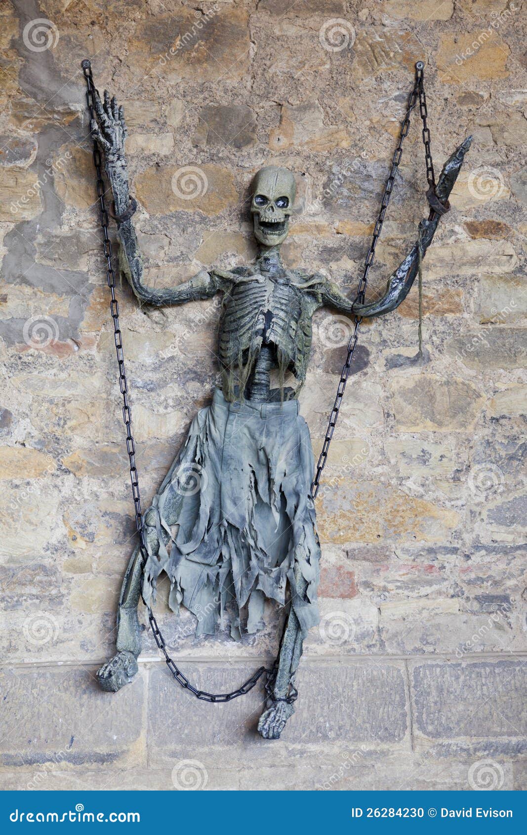 Scary skeleton. stock photo. Image of adult, decoration - 26284230