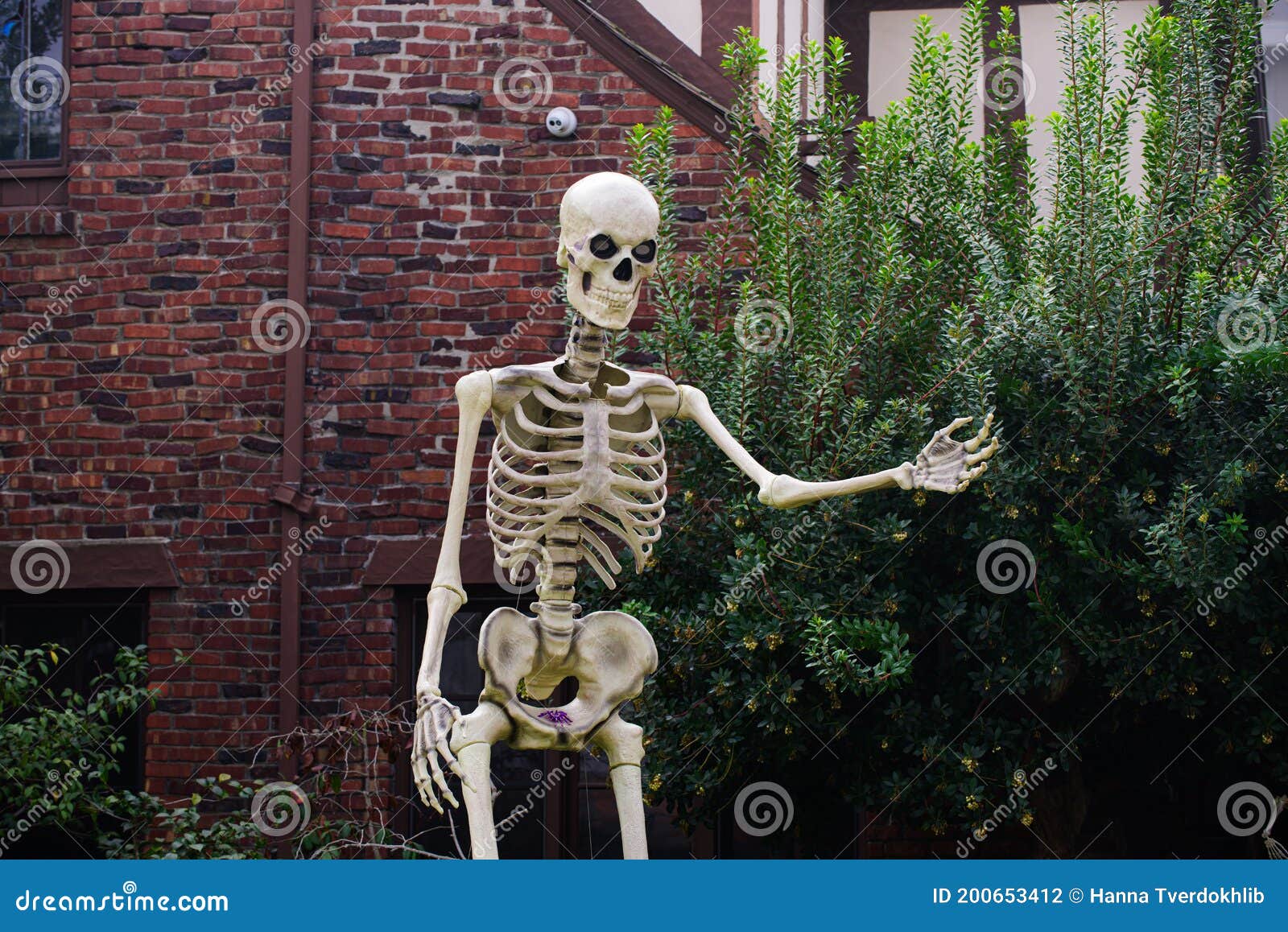 Scary Skeleton Royalty-Free Stock Image | CartoonDealer.com #3175180