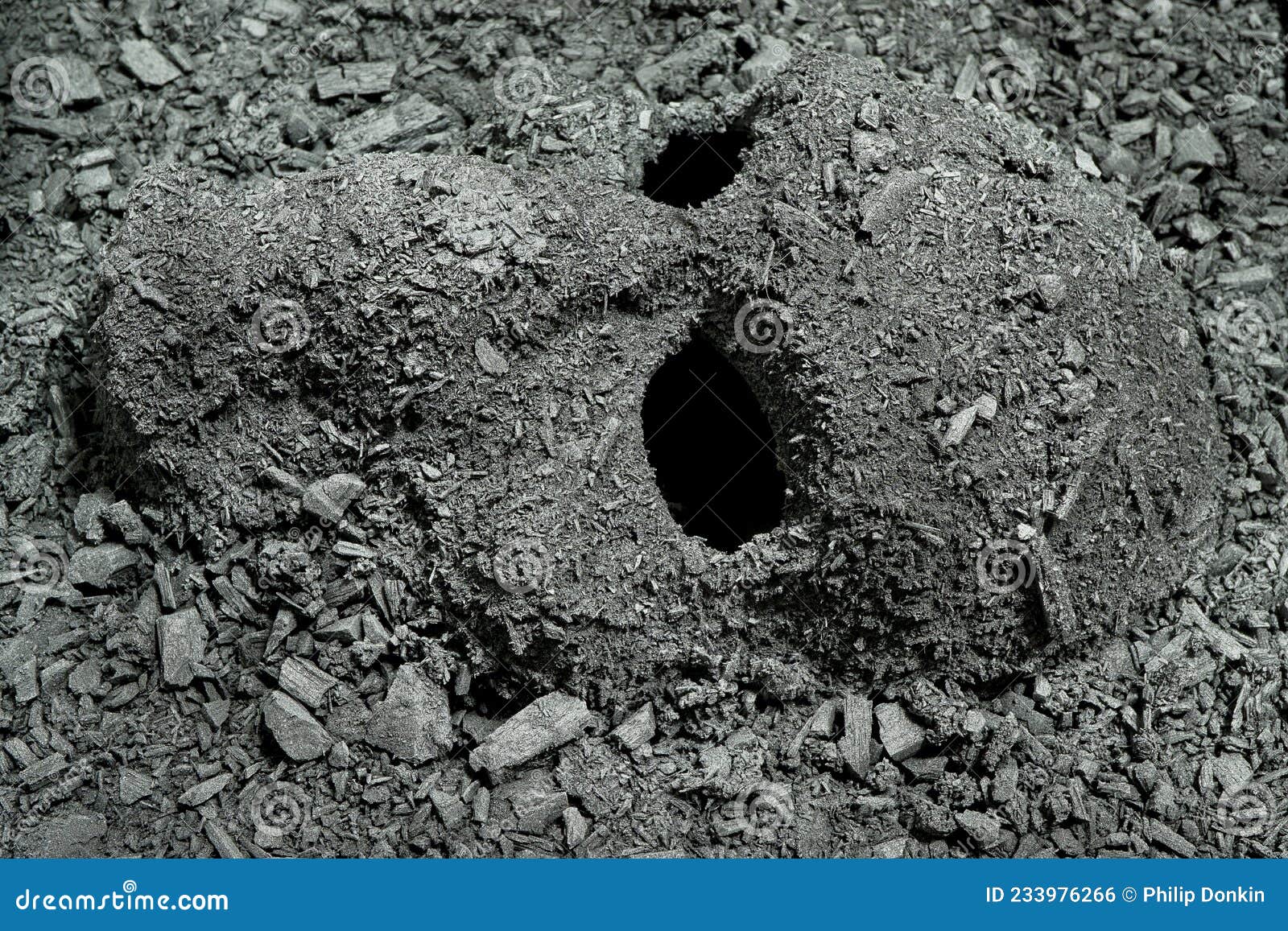 Scary Skeleton Mask Handmade Covered in Charcoal Creating Unique ...