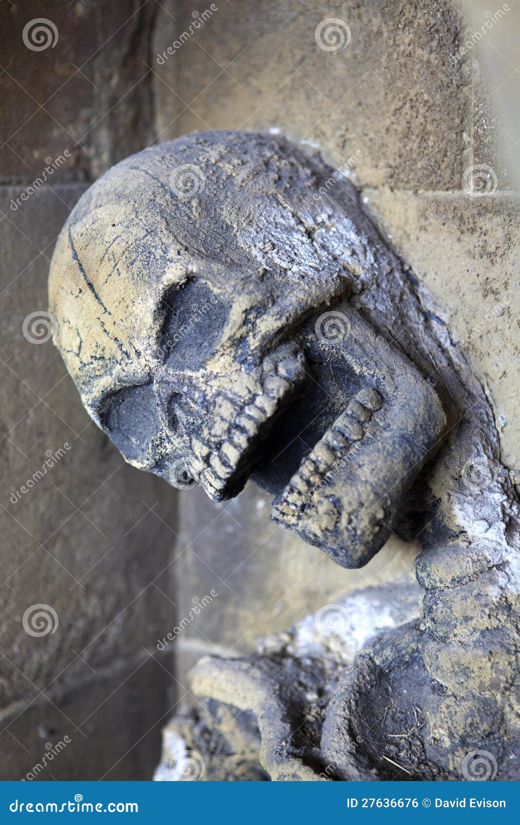 Scary skeleton - skull. stock photo. Image of mysterious - 27636676