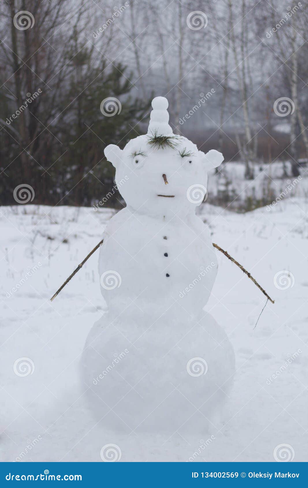 Scary Snowman in the Winter Forest Close Up Stock Image - Image of ...