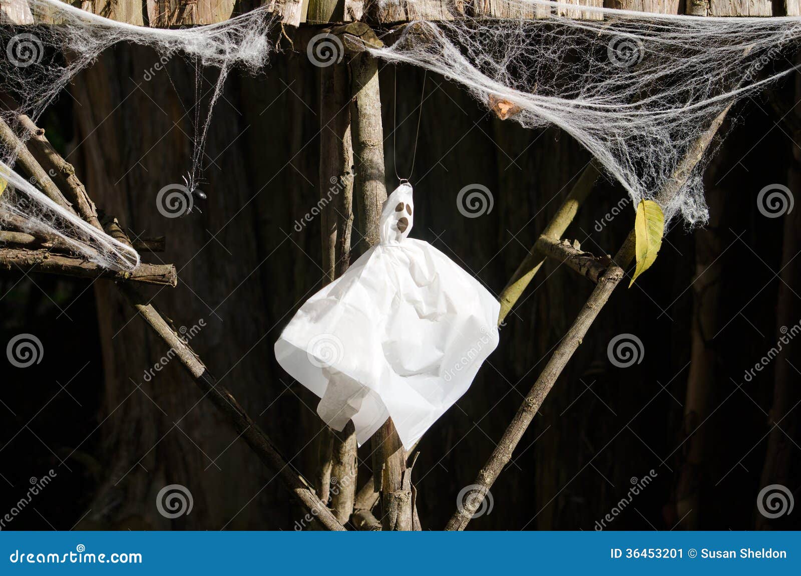 Scary spider on a tree stock image. Image of large, spider - 36453201