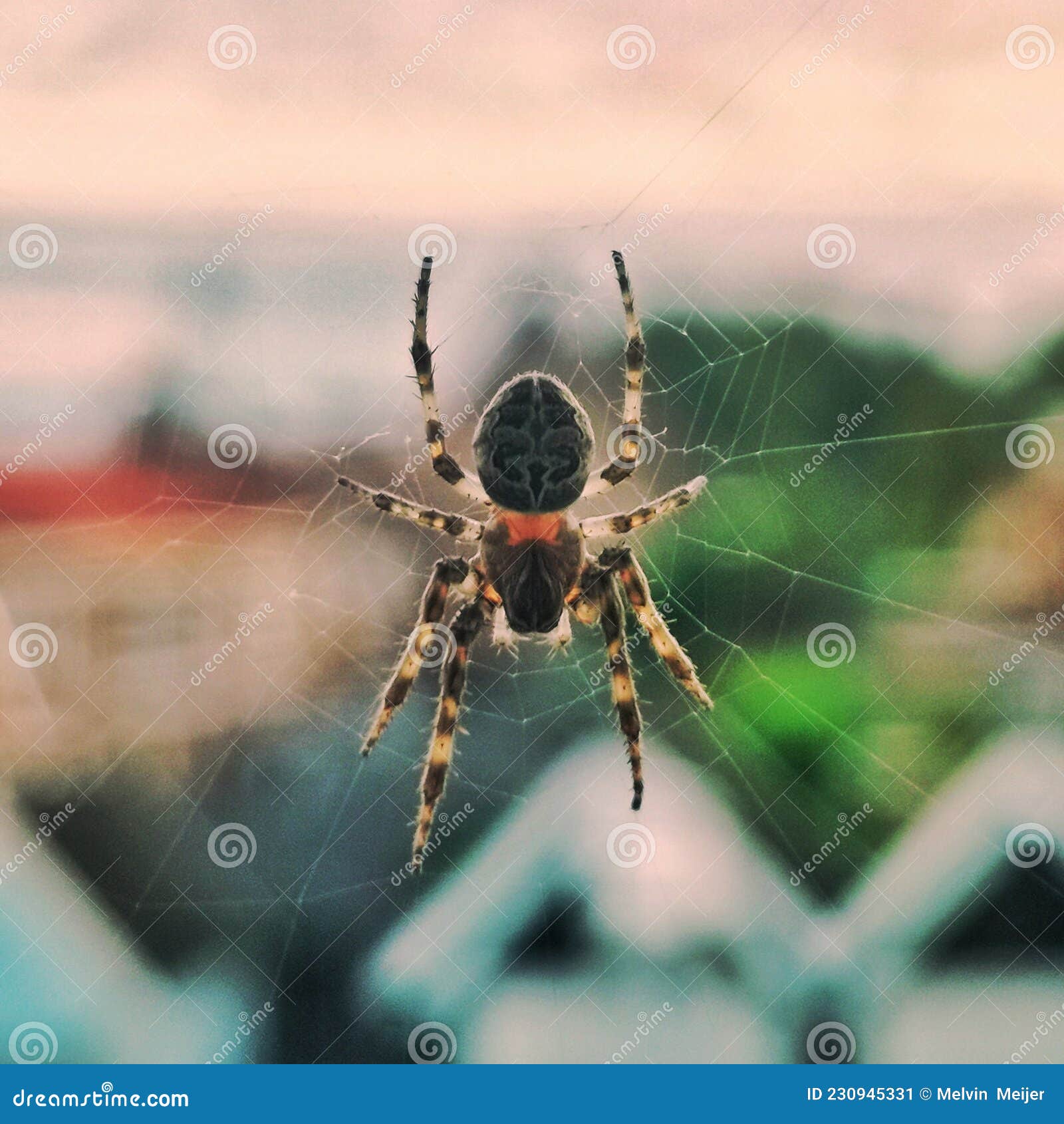 Scary Spider Monster Royalty-Free Stock Photo | CartoonDealer.com #72308343