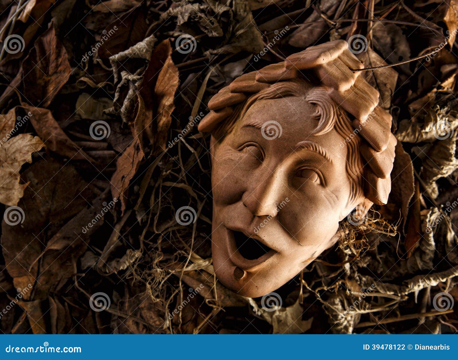 Scary Still Life stock photo. Image of face, head, bird - 39478122