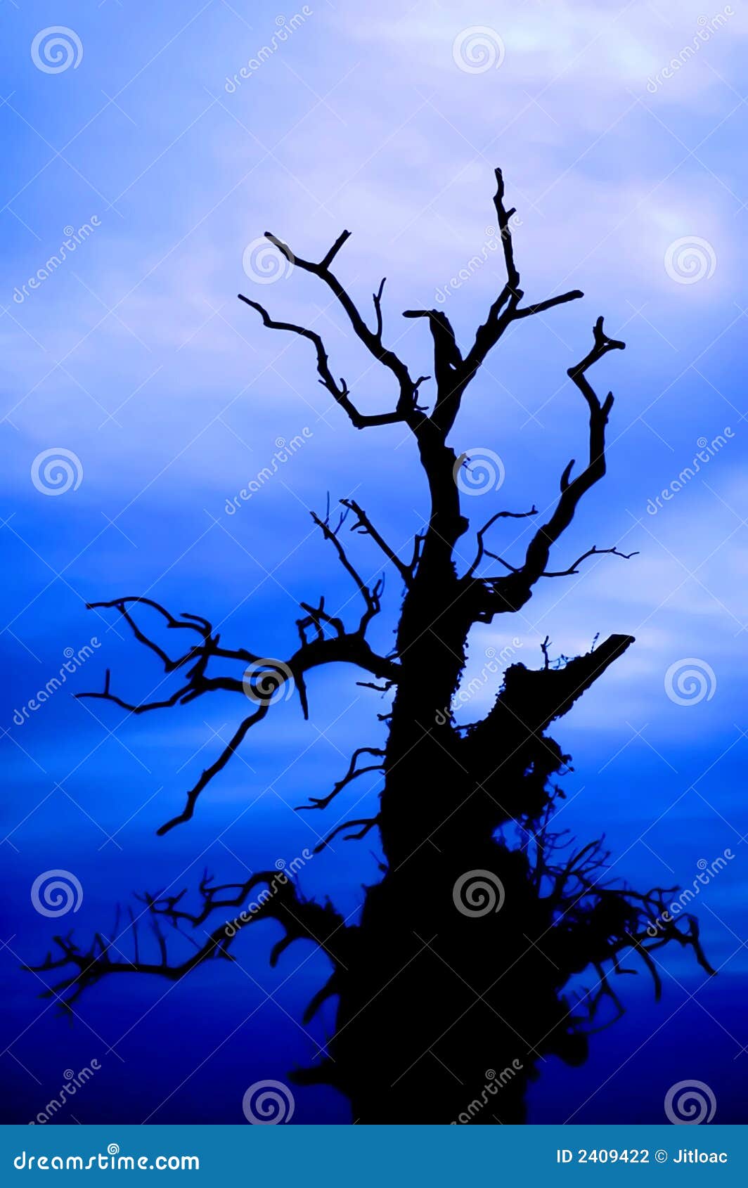 Scary Tree House In Forest Stock Photo | CartoonDealer.com #143859252
