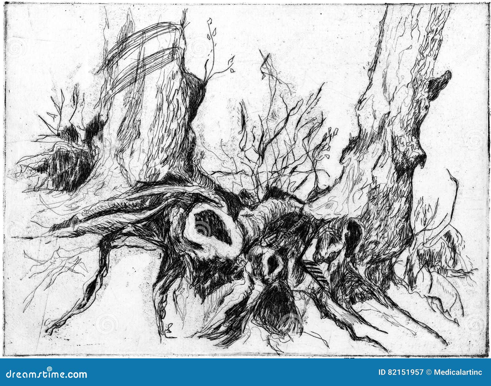 Scary Trees and Roots stock illustration. Illustration of forest - 82151957