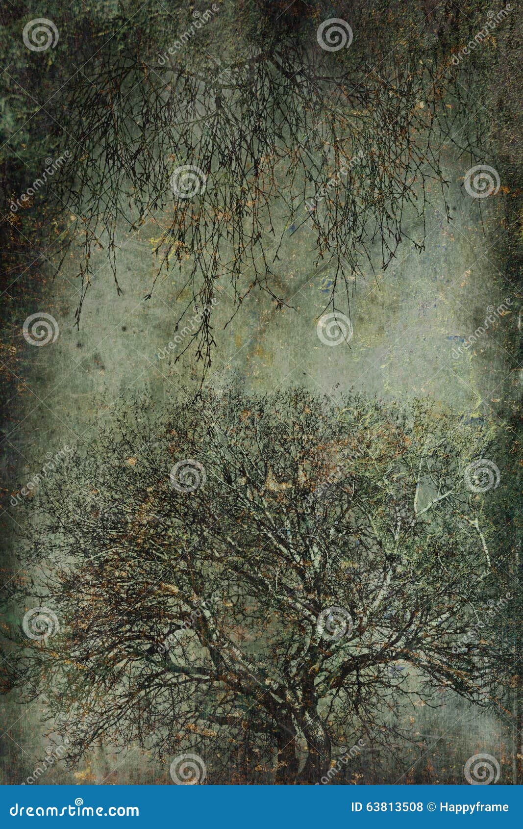 Scary trees stock photo. Image of creepy, collection - 63813508