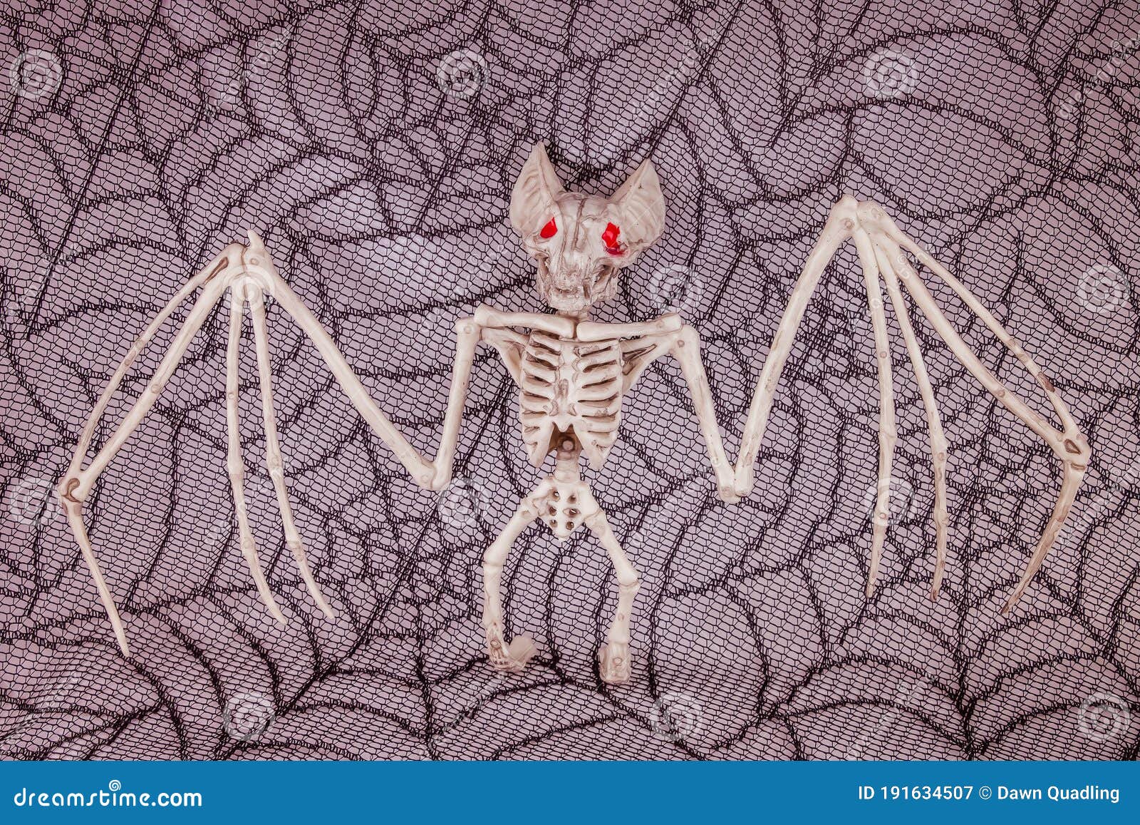 Vampire Bat Skeleton