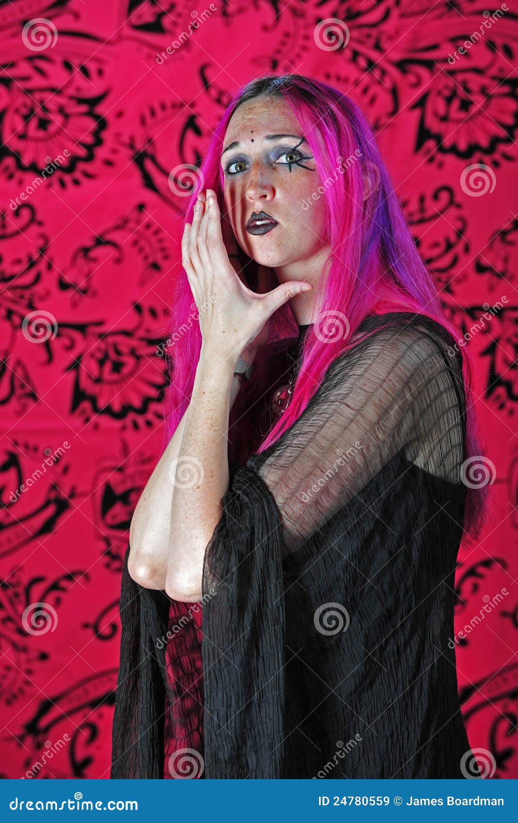 Witchy Woman Stock Photo | CartoonDealer.com #24721608