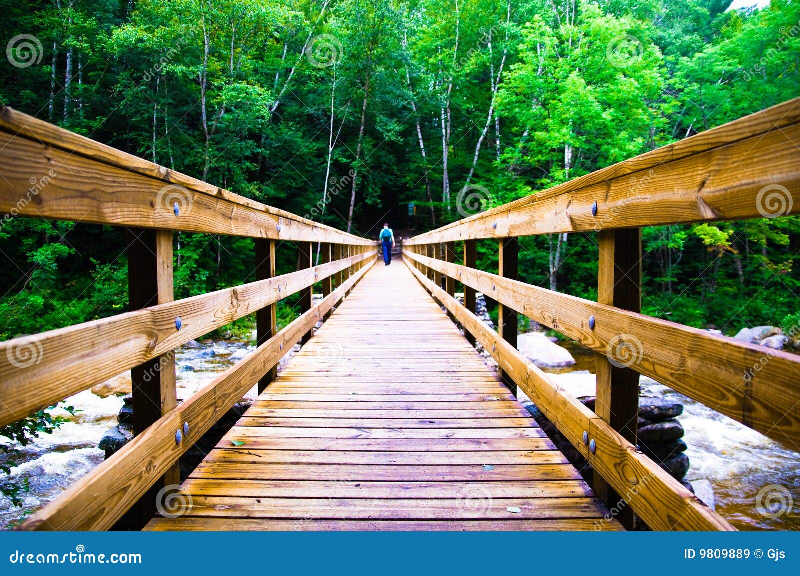 Scary Wooden Bridge Crossing Stock Image - Image of obstacle ...