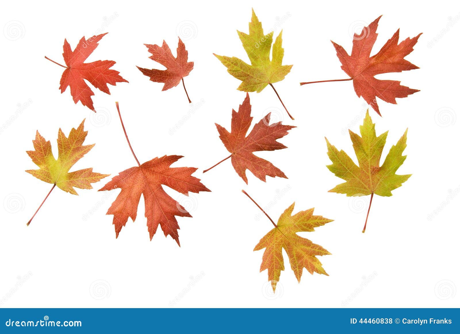 Scattered Autumn Leaves Background Stock Photo - Image of autumn ...