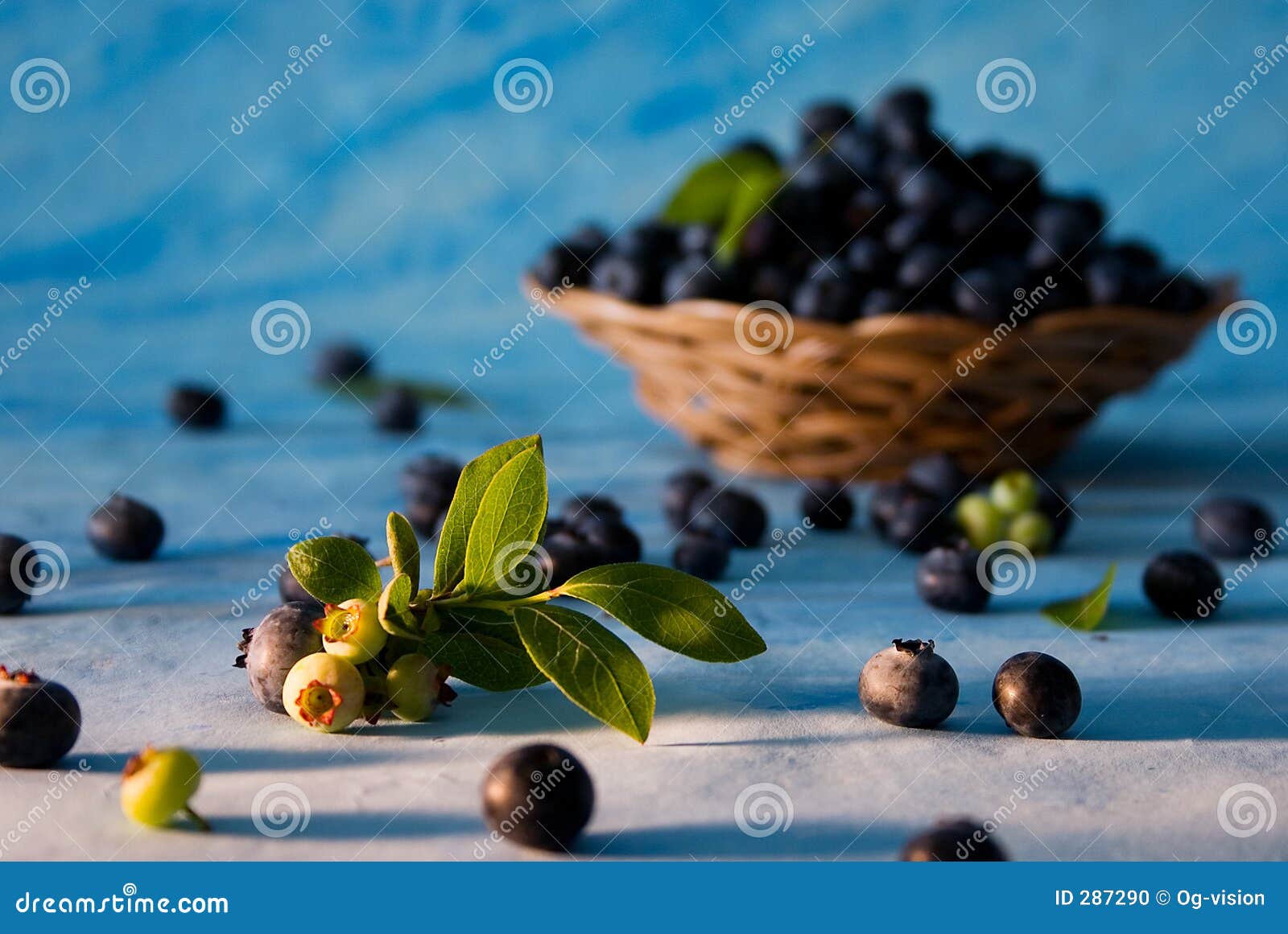 Scattered bluberries stock photo. Image of basket, blueberry - 287290