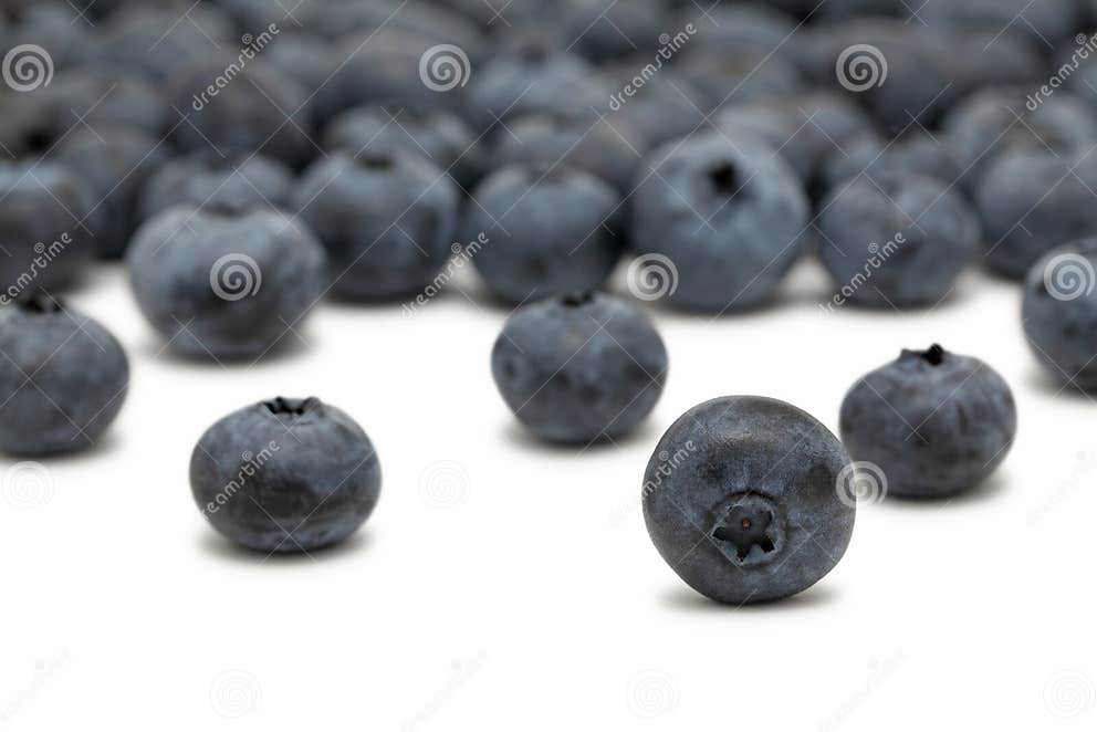 Scattered Blueberry on White Background Stock Image - Image of harvest ...