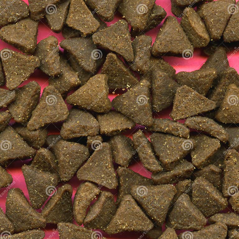 Scattered cat biscuits stock image. Image of textured - 5807815