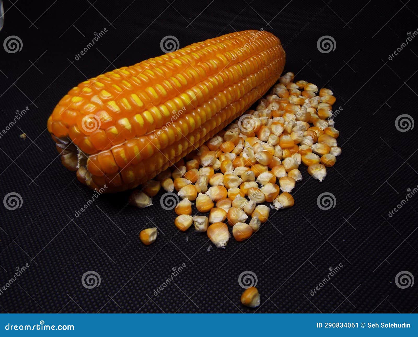 Scattered Corn Kernels and Grains Stock Image - Image of produced ...
