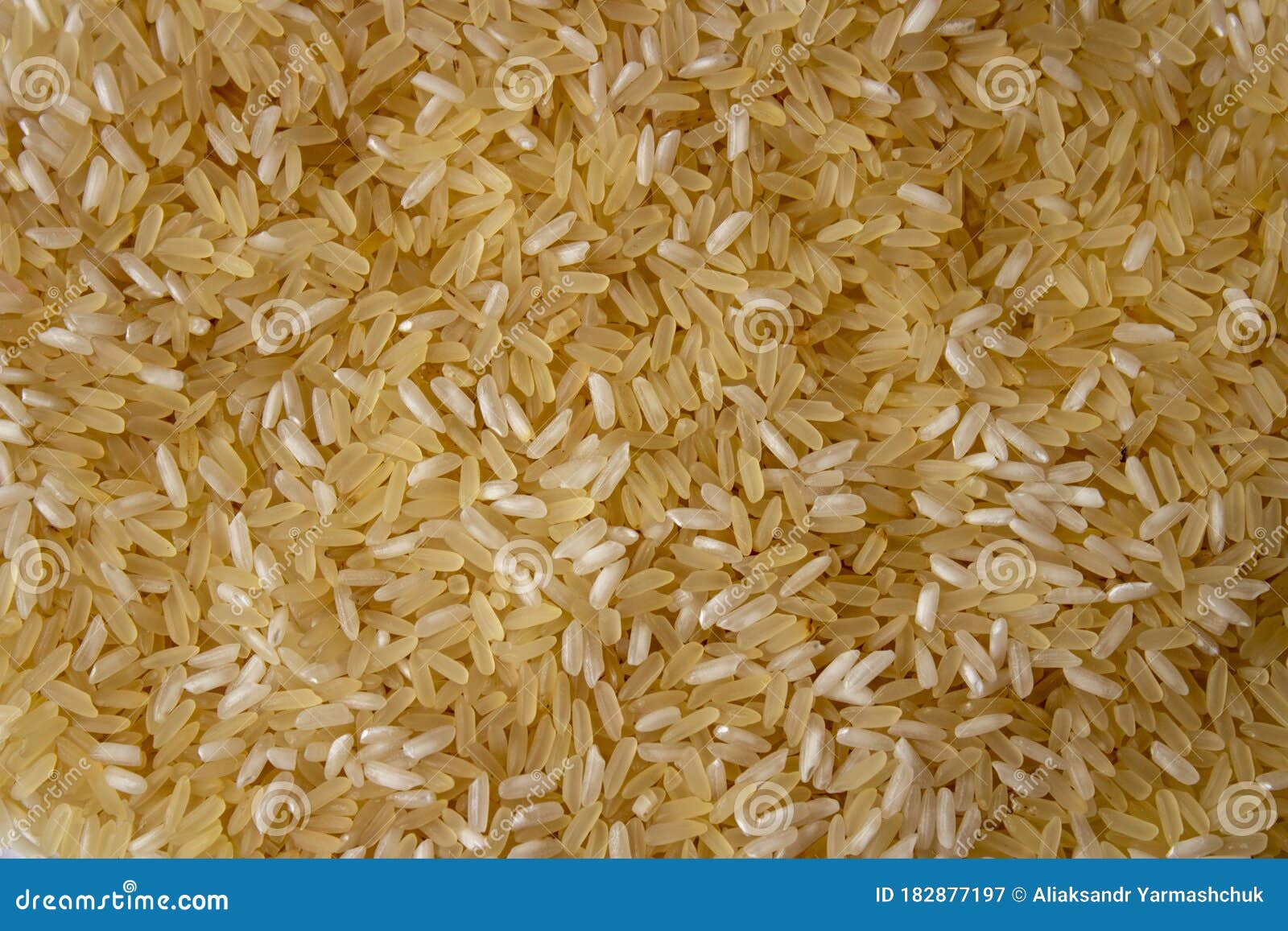 Scattered Golden Raw Rice on the Floor Stock Image - Image of uncooked ...