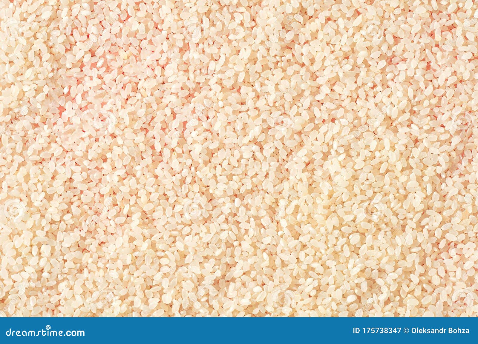 Scattered Grain of White Rice. Background Stock Image - Image of cereal ...