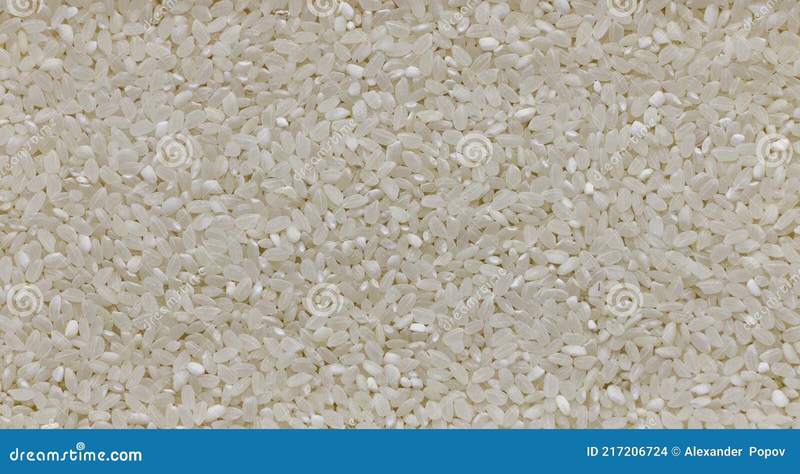 Scattered Grains of Round Rice Stock Photo - Image of polished, seed ...