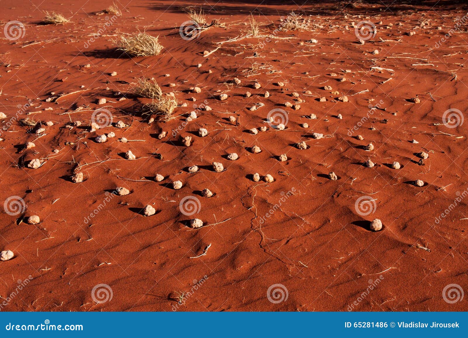 2,359 Pebbles West Photos - Free & Royalty-Free Stock Photos from ...