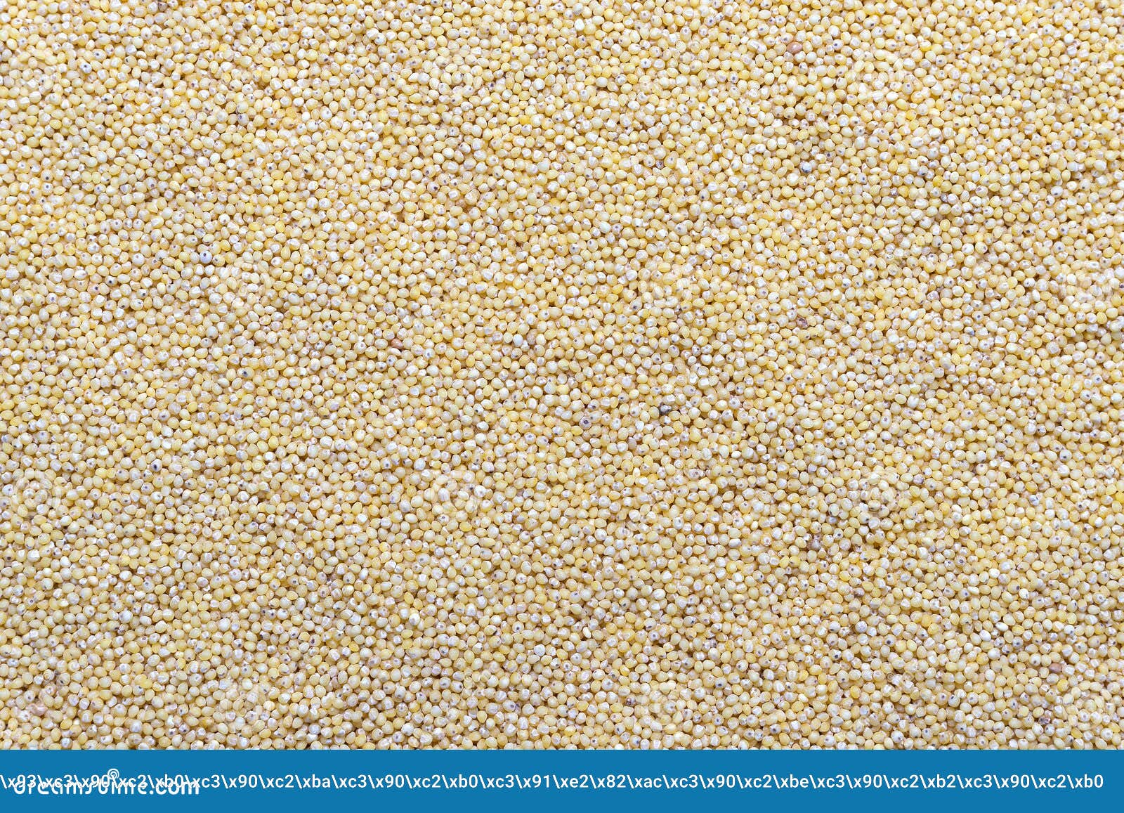 Scattered and Polished Groats of Millet Texture. Grains Pattern, Food ...