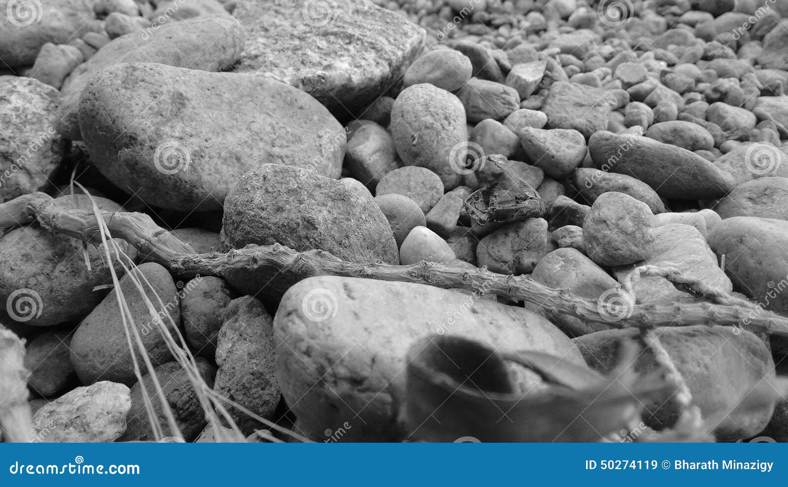 The scattered rocks stock image. Image of story, rocks - 50274119