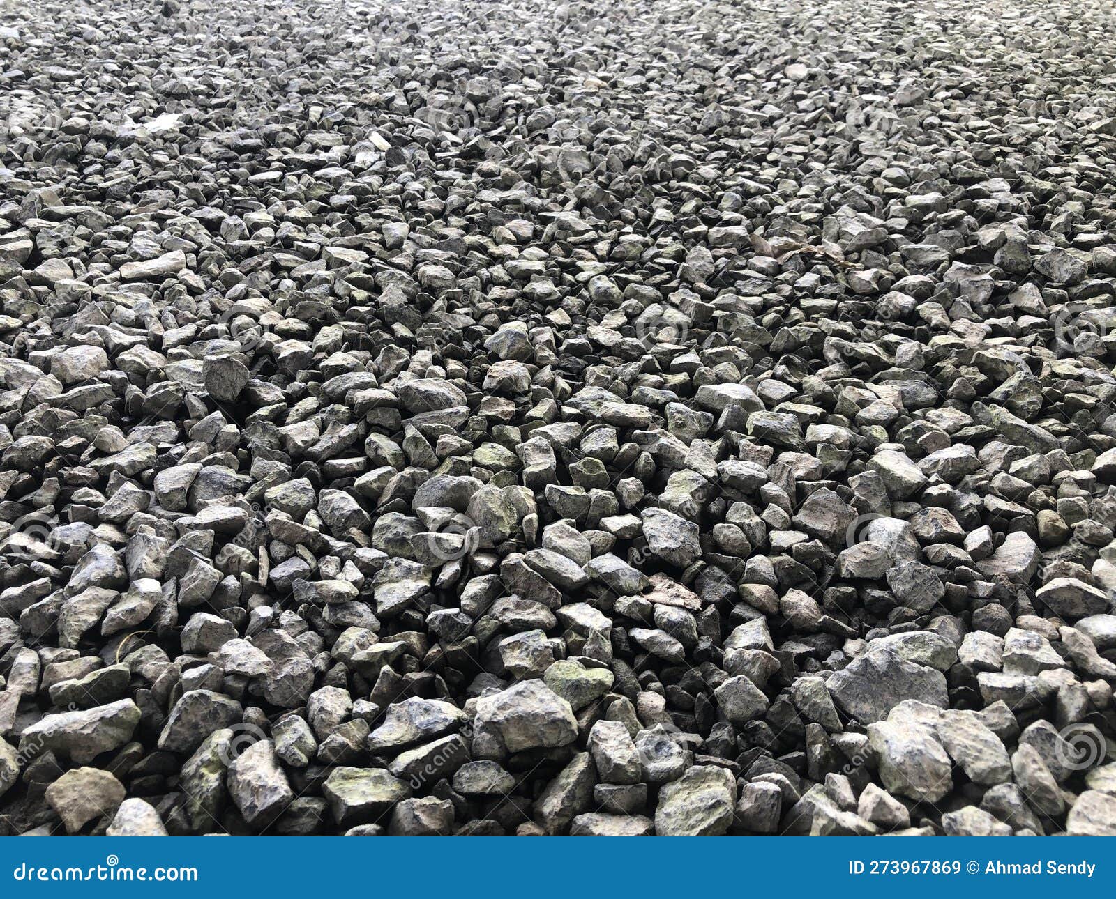 Scattered stones in earth stock image. Image of monochrome - 273967869