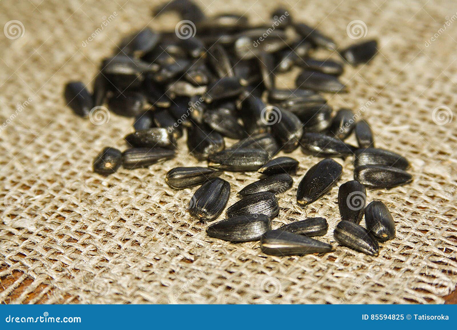 Scattered sunflower stock image. Image of crop, agriculture - 85594825