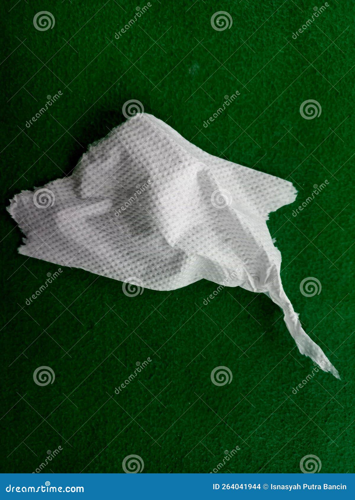 Scattered tissue waste stock photo. Image of leaf, plant - 264041944
