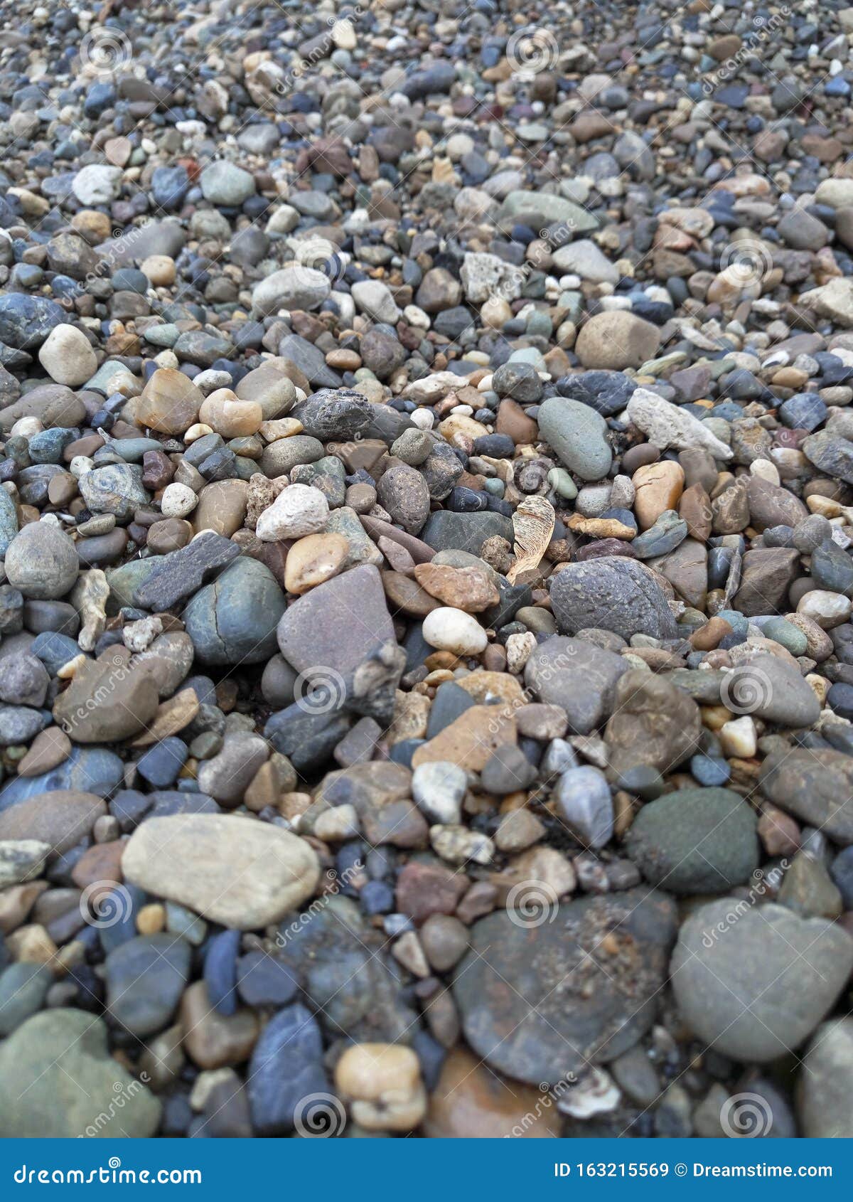 A Scattering of Colored Pebbles Stock Image - Image of river, detail ...